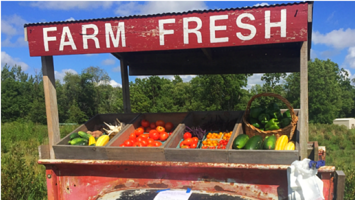 “The Farm Stand” – Dave's BLOG…There's Always More